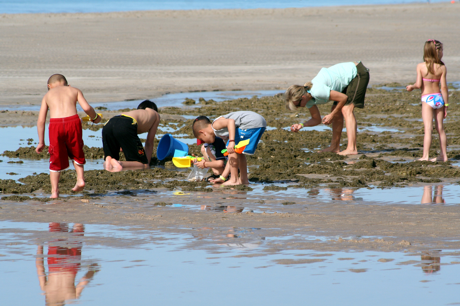 6 Natural Tide Pools Where Kids Can Explore Crabs, Sea Stars, and ...