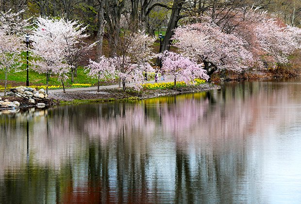 Spring Fun Guide for New Jersey Kids | Mommy Poppins - Things To Do in ...