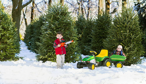 Holiday Fun for Long Island Kids on the East End | Mommy Poppins ...