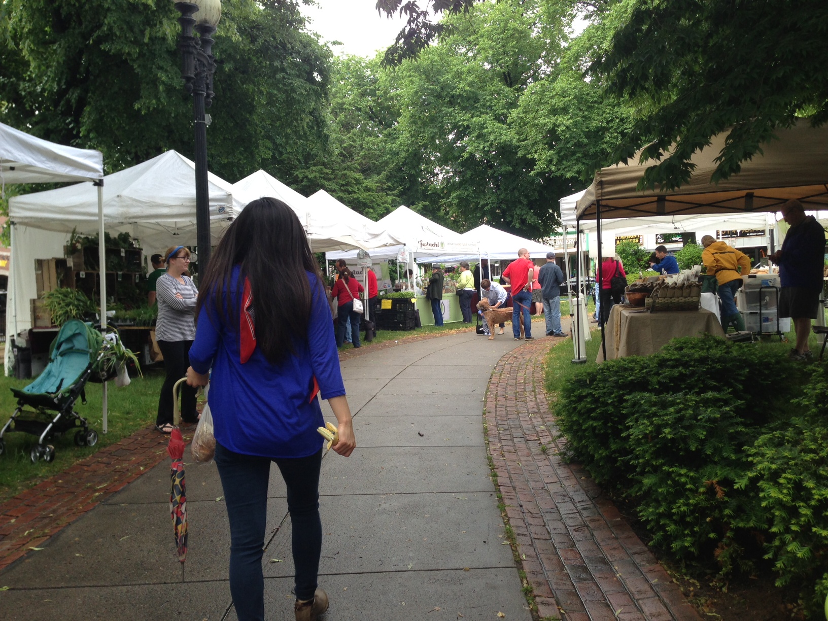 Cream of the Crop: Boston's Best Farmer's Markets and Farm Stands for ...