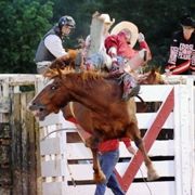 Rodeos in New Jersey?? | MommyPoppins - Things to do with Kids