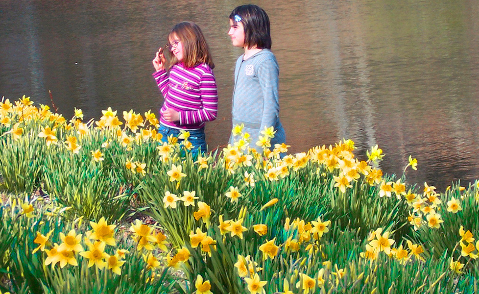 Spring Activities For You and the Kids in the Hartford Area | Mommy ...