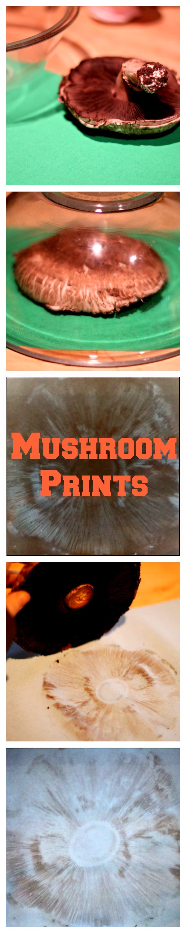 WeeWork Kids Nature Crafts: Mushroom Prints | MommyPoppins - Things to ...