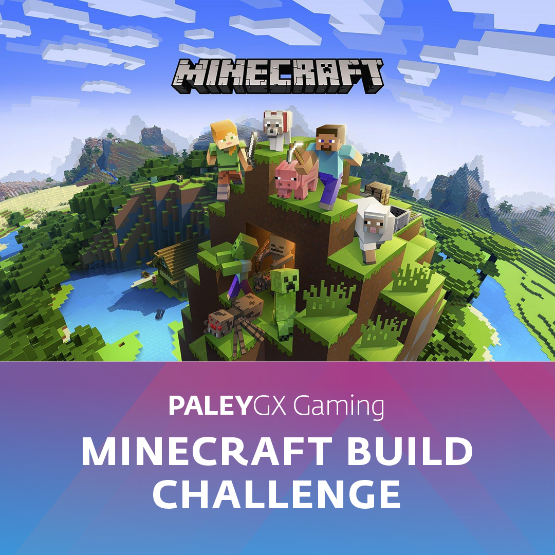 minecraft pickleball, new york gifts for kids