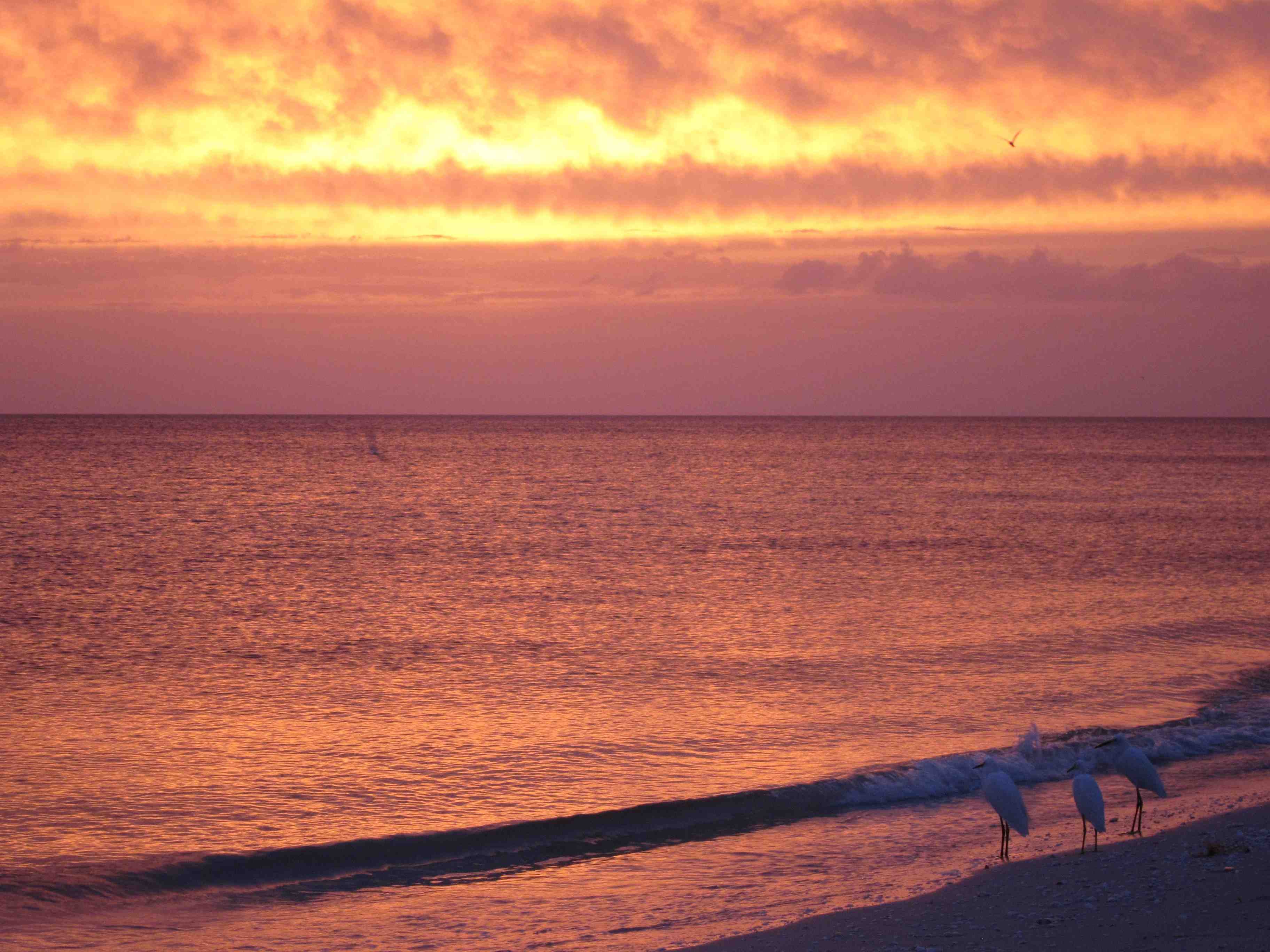 Sanibel Island Florida With Kids 25 Best Activities For A Family Sanibel Island Florida With Kids 25 Best Activities For A Family