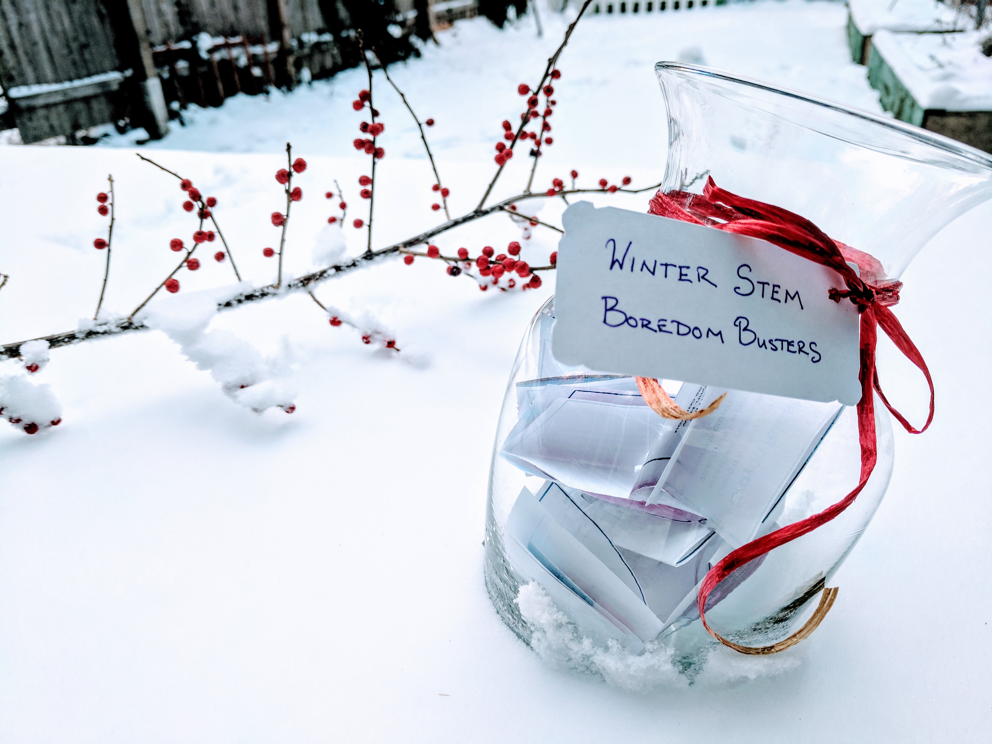 Beat Winter Boredom with 8 Awesome STEM Activities | Mommy Poppins ...