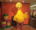 The New Sesame Street Exhibit at Lincoln Center: A Fun Nostalgia Trip ...