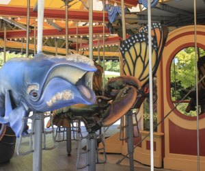 20 Spring Activities near Boston We Can't Wait To Do with Kids ...