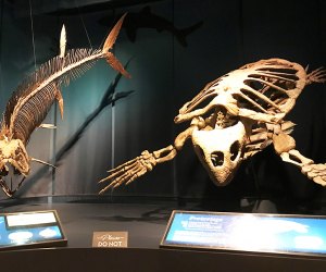 Free Museum Days in Atlanta to Explore Your World | MommyPoppins ...