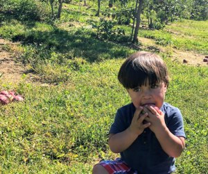 Visiting Silverman's Farm with Kids - Mommy Poppins