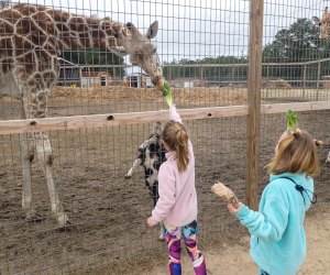 25 Fun Things to Do in Destin, Florida with Kids | Mommy Poppins