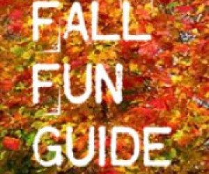 Fun Fall Activities Guide: Apple and Pumpkin Picking, Festivals, Sports ...