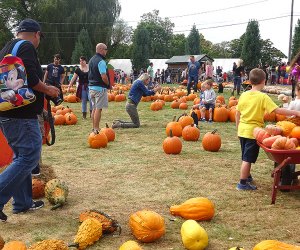 Top Family-Friendly Farms in the Hudson Valley - Mommy Poppins
