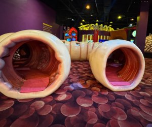 Inside Houston’s Health Museum: Hands-On Fun for Curious Kids