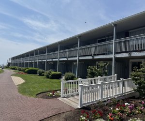 Red Jacket Beach Resort: A Perfect Cape Cod Escape for Families | Mommy ...