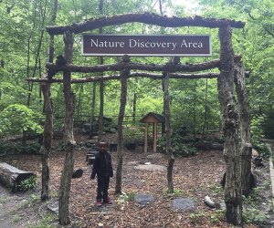 11 Free Nature Centers Near DC for Kids and Families | Mommy Poppins