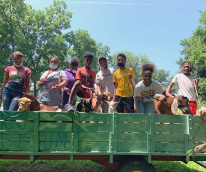 Job Resources and Summer Internships for Teens in Philly