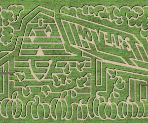 Best Corn Mazes Near DC for Kids and Families | MommyPoppins - Things ...
