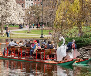 3 Days in Boston with Kids: Ultimate Itinerary by a Local Mom