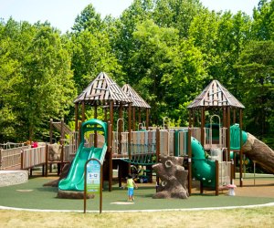 DC's Best Parks and Playgrounds for Kids' Birthday Parties | Mommy Poppins