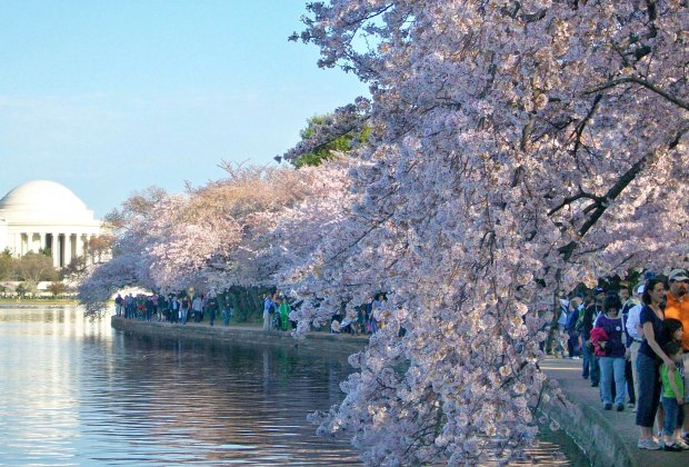 Weekend Fun for D.C. Kids: Easter Egg Hunts, Spring Festivals ...