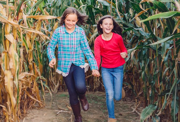 Best Corn Mazes Near DC for Kids and Families | Mommy Poppins