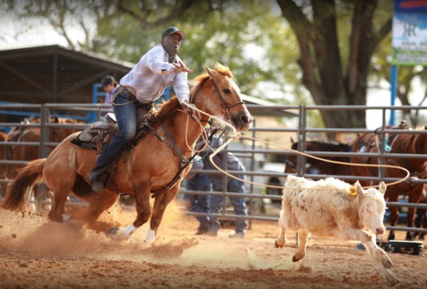 Fall Bucket List for Kids: 30 Top Things To Do in Houston This Fall
