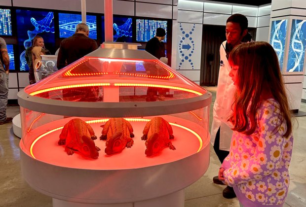Jurassic World Immersive Exhibition Offers Dinosaur-Filled Fun for ...