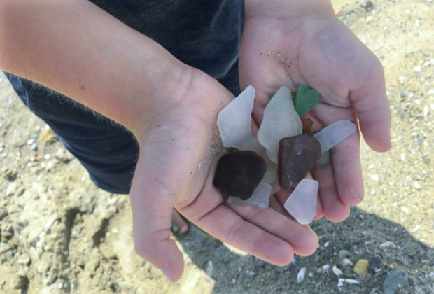 Eco Exploring at Connecticut Beaches