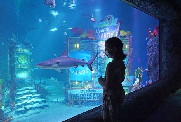 Sea Life Aquarium, Legoland Discovery Center Open at American Dream ...