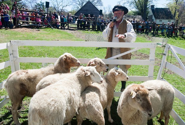 Weekend Fun: Sheep to Shawl Fest, Egg Hunts, Family Fun Day | Mommy ...