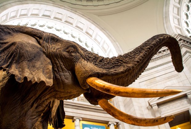 Jennifer Swope | Mommy Poppins - Things to Do with Kids