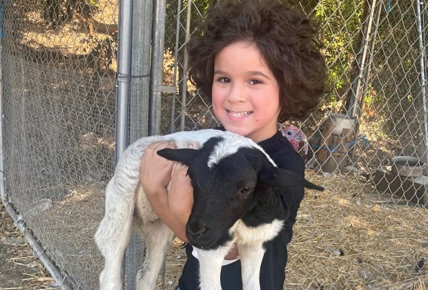 Best Farms near Los Angeles for Family Fun | Mommy Poppins