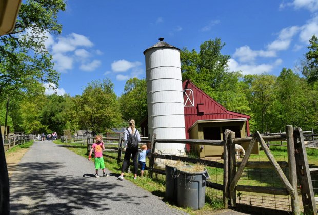 Stamford Museum & Nature Center: 7 Family-Friendly Things To Do ...