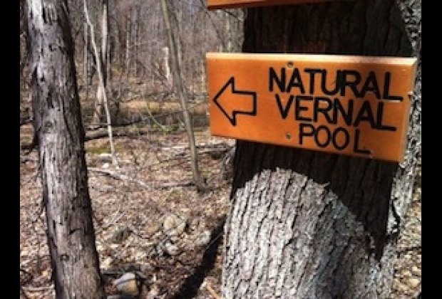 Day Trip: Webb Mountain Discovery Zone in Monroe, CT | Mommy Poppins ...