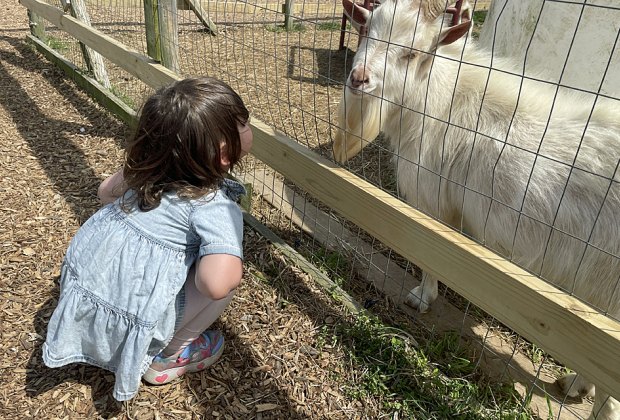 LI's Waterdrinker Family Farm Serves Up Fun - Mommy Poppins