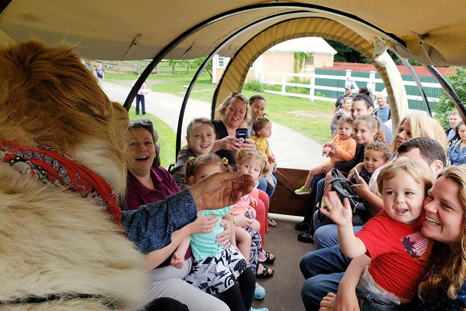 Weekend Fun: Honey Festival, Hot-Air Balloons, American Roots Music ...